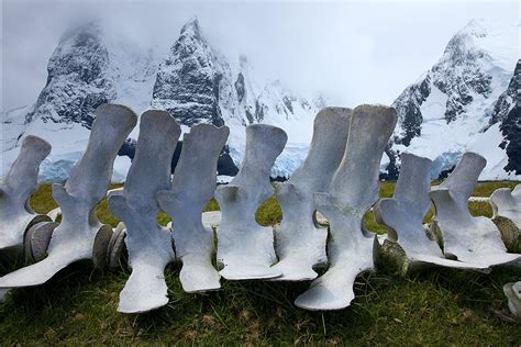 Preconceptions Jim Zuckerman Photography Photo Tours