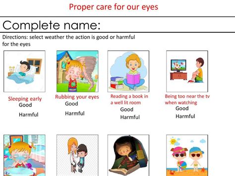 Our Eyes Interactive Worksheet 2nd Grade Worksheets Alphabet