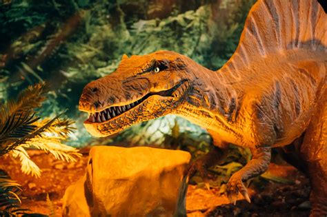 Le monde jurassique une exploration fascinante de l époque des dinosaures