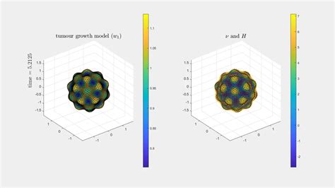 forced mean curvature flow modeling tumour growth youtube