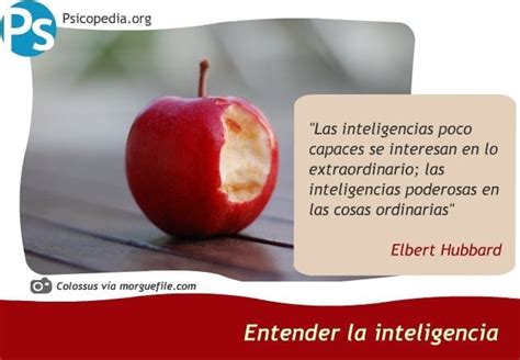 Entender La Inteligencia
