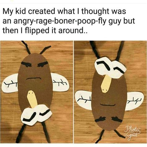 Fly Boner Meme By Davidsealover Memedroid