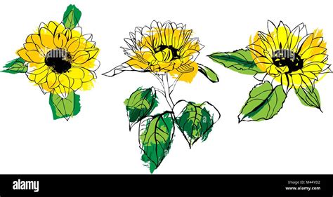 Total 93 Imagen Hojas De Girasol Dibujo Abzlocal Mx