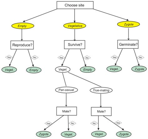 flow chart of a single site update of the cellular automaton algorithm download scientific diagram