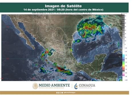 Se prevén lluvias intensas en Guerrero hay árboles caídos y derrumbes