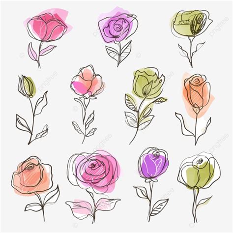 Loose Watercolor Doodle Line Art Rose Flower Bouquet Elements Loose