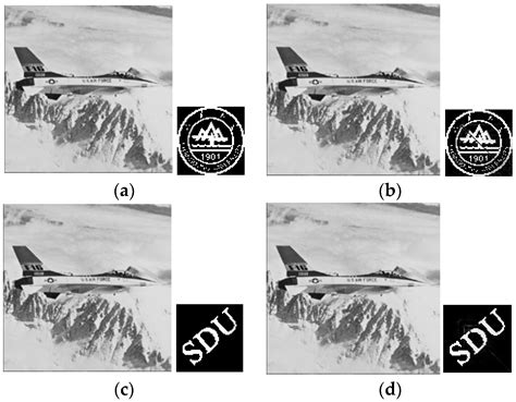 future internet free full text feature based image watermarking algorithm using svd and apbt