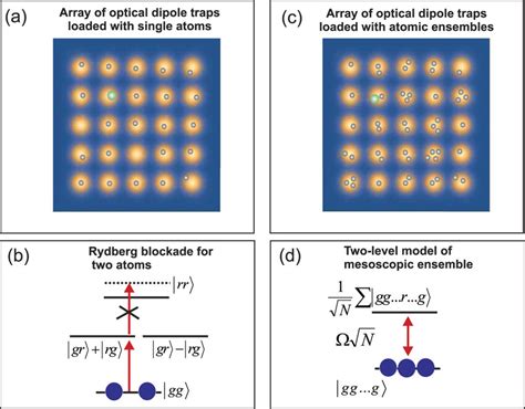 A Scheme Of The Quantum Register Based On Individually Addressed