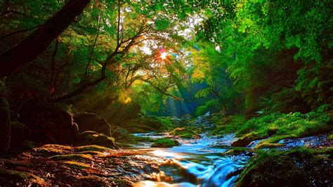 River Sunrise Wallpapers Top Free River Sunrise Backgrounds