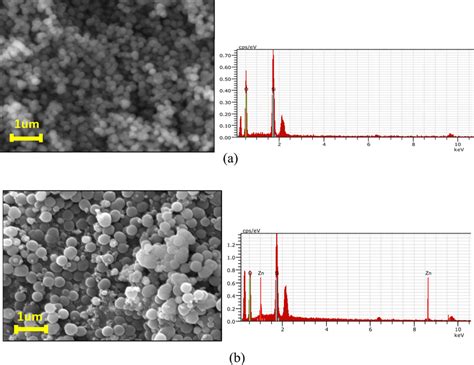 A Sem And Eds Of Sio Nanospheres B Sem And Eds Of Sio Zno Cs