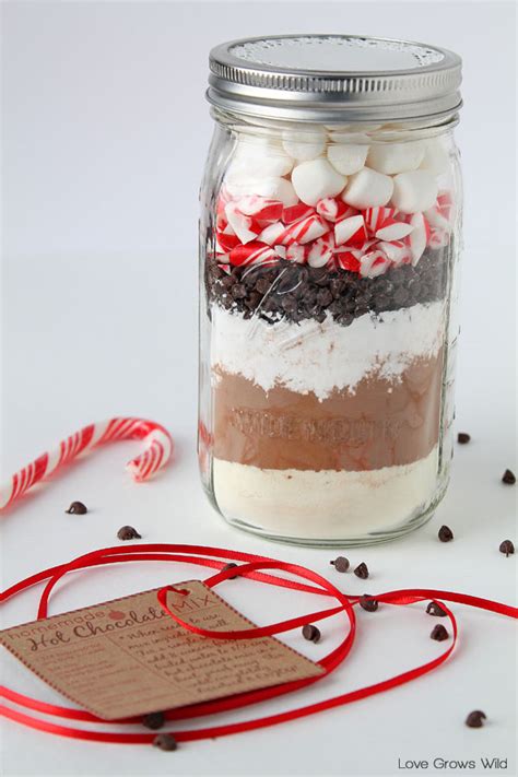 5 Fun Mason Jar Gift Ideas Love Grows Wild