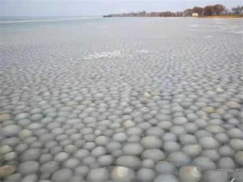 太罕见吉林四海湖出现满湖冰汤圆大如篮球数量多达数十万 汤圆 雪团 湖面 新浪新闻