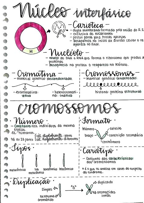Resumo sobre Citologia núcleo Biologia Estuda OAB