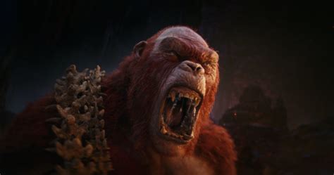 Godzilla X Kong The New Empire Szene 11 Film Rezensionende