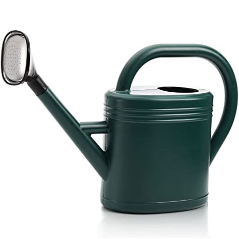 DEAYOU Arrosoir pour plantes d intérieur et d extérieur arrosoir en