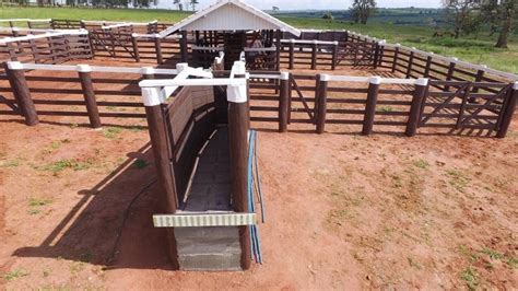 Curral João Almeida Rancho de gado Projetos de barracões Projetos
