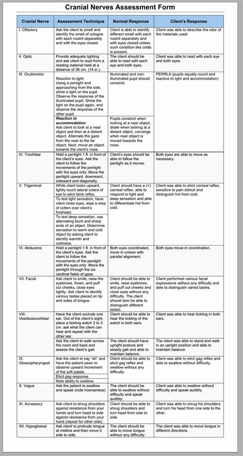 Rapid Assessment Emergency Department Nursing Flow Sheet Latter