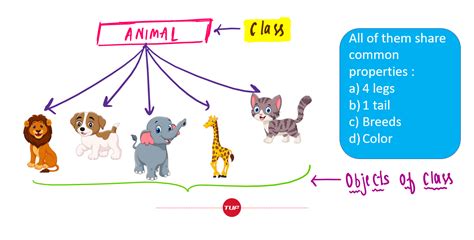 c classes and objects tutorial