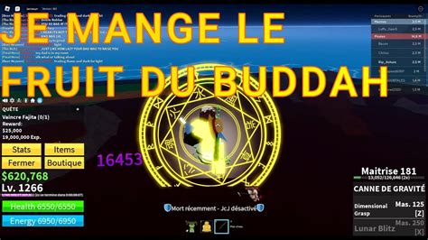JE DECOUVRE LE FRUIT DU BUDDAH CONTROLE SUR BLOX FRUITS YouTube