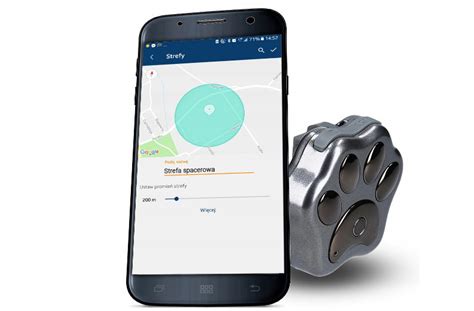 Jaki Lokalizator GPS Dla Psa Wybrać W 2022 Opinie Oraz Ranking