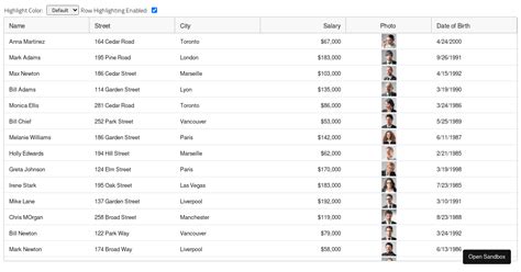 Wc Data Grid Row Highlighting Codesandbox