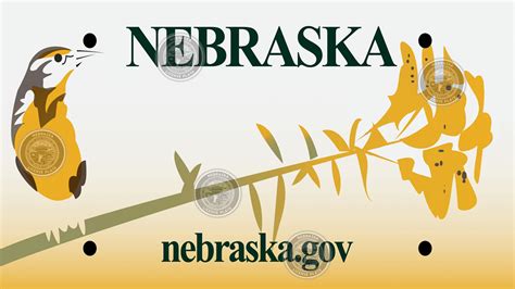 Temporary License Plates In Nebraska