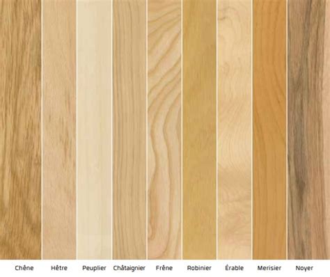 Quels Sont Les Types De Bois Comment Choisir Son Bois