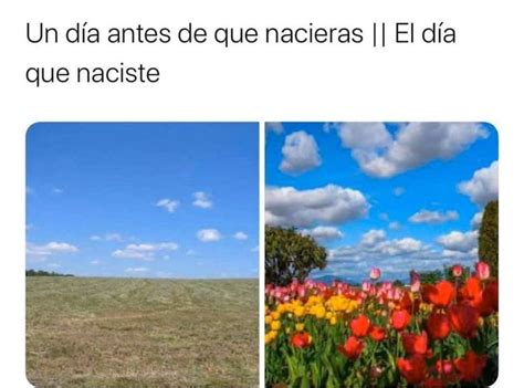 El día que yo nací nacieron todas las floresss Memes sarcásticos