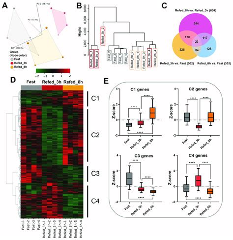 Gene Expression Profile Of Muscle Tissues During Fasting Refeeding