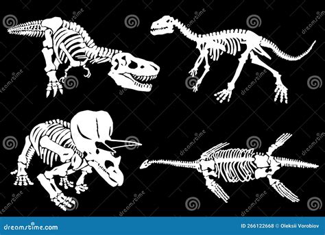 Graphical Illustration Set Of Dinosaur Skeletons Isolated On Black
