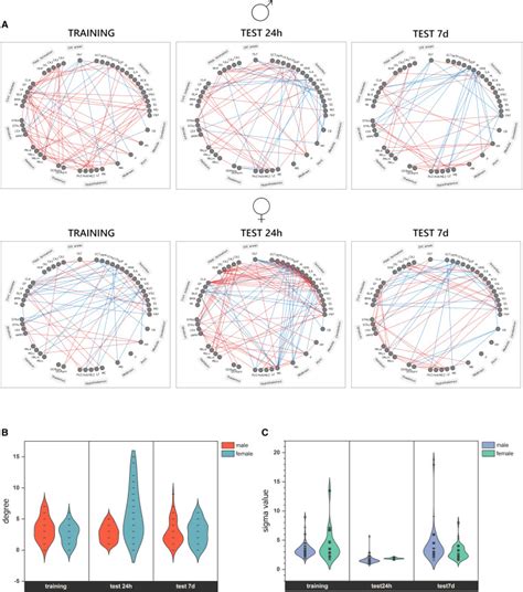 Brain Wide Neuron Quantification Toolkit Reveals Strong Sexual