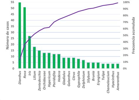 Diagrama De Pareto Que Agrupan Las Plantas De La Semana Santa De