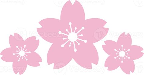 Free hermosa rosado sakura Cereza florecer ilustración 21020270 PNG