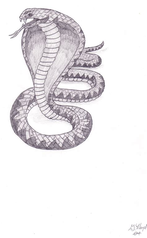 King Cobra Snake Sketch At PaintingValley Explore Collection Of