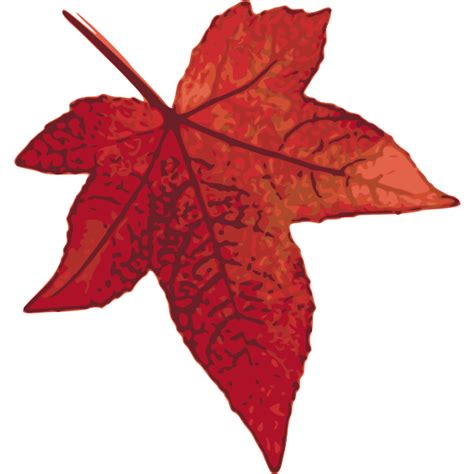 Brown Maple Leaf Transparent File PNG Play
