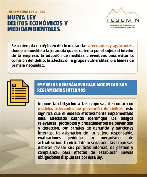 Infografia Nueva Ley De Delitos Econ Micos Y Medioambientales Fesumin Cl