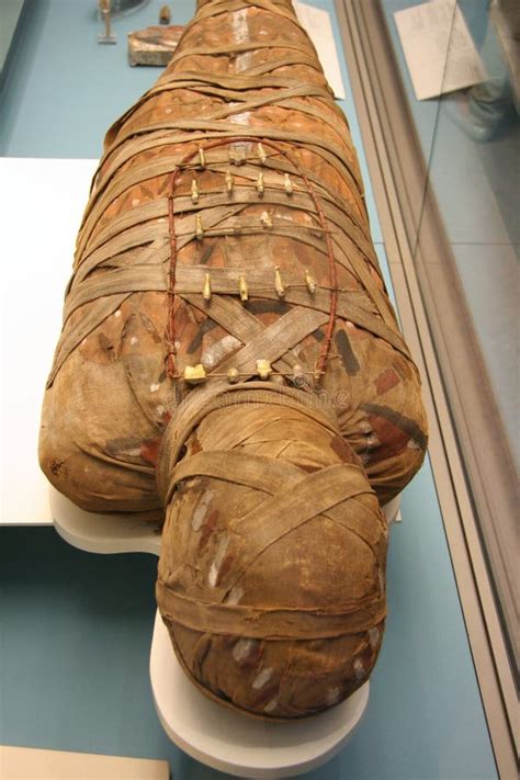 Egyptian Mummy Stock Image Image Of Egypt Body Burial 24270001