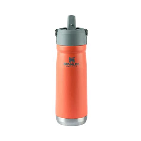 Garrafa Térmica Flip Straw 651 ml Guava Stanley