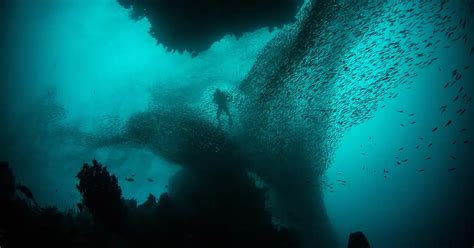 10 Interesting Facts About The Mariana Trench Factend