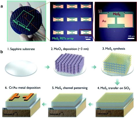 Wafer Scale