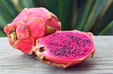 Todo Sobre La Pitahaya Propiedades Historia Y Cultivo Huerto En Casa