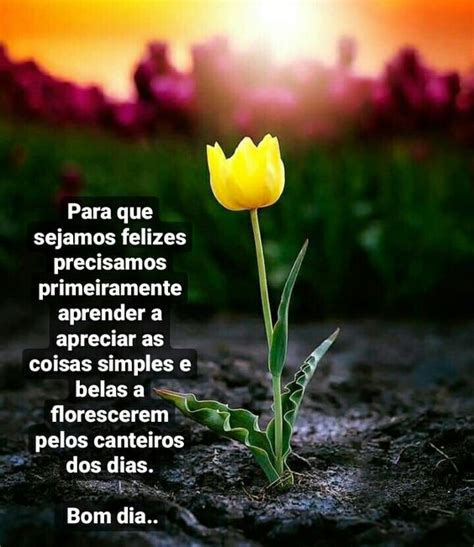 35 Frases de Bom dia Paisagens Maravilhosas para você