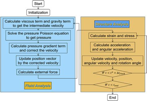 computational procedure of a numerical algorithm for the fsi simulation download scientific