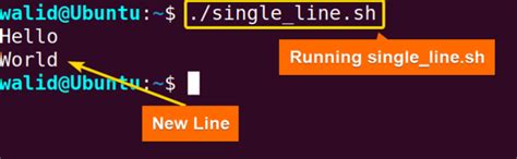 How To Echo New Line In Bash 6 Practical Cases