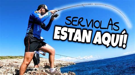 Pesca De Serviolas A Spinning Desde Costa Muchas Capturas Las