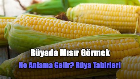 Rüyada Savaş Görmek İslami Rüya Tabirleri Rüya Tabirleri Dini Rüya