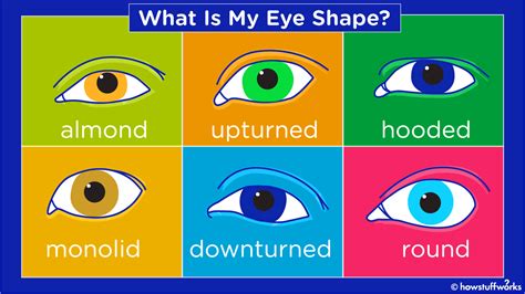 Types Of Eye Shapes