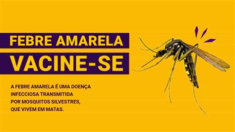Estado recebe reforço para vacinação contra a febre amarela