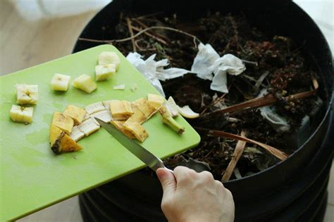 Compostagem caseira como fazer seu próprio adubo e manter as plantas