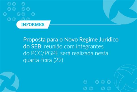 Proposta para o Novo Regime Jurídico do SEB reunião integrantes do